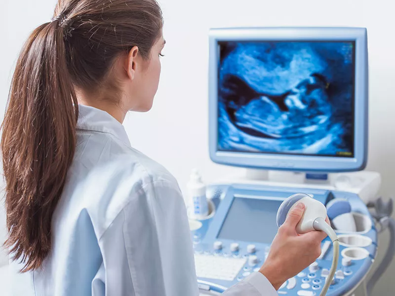 Los defectos del tubo neural: todo lo que necesitas saber