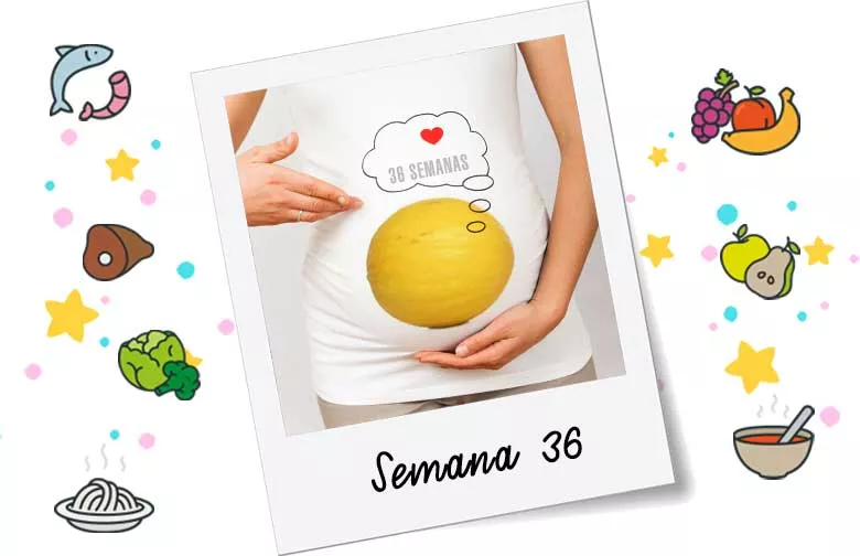 Semana 36 de embarazo