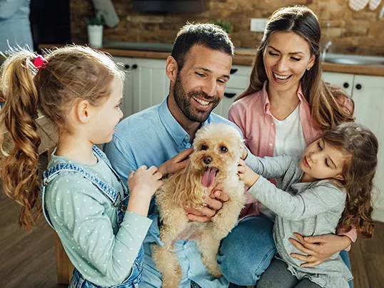 Edad para tener una mascota