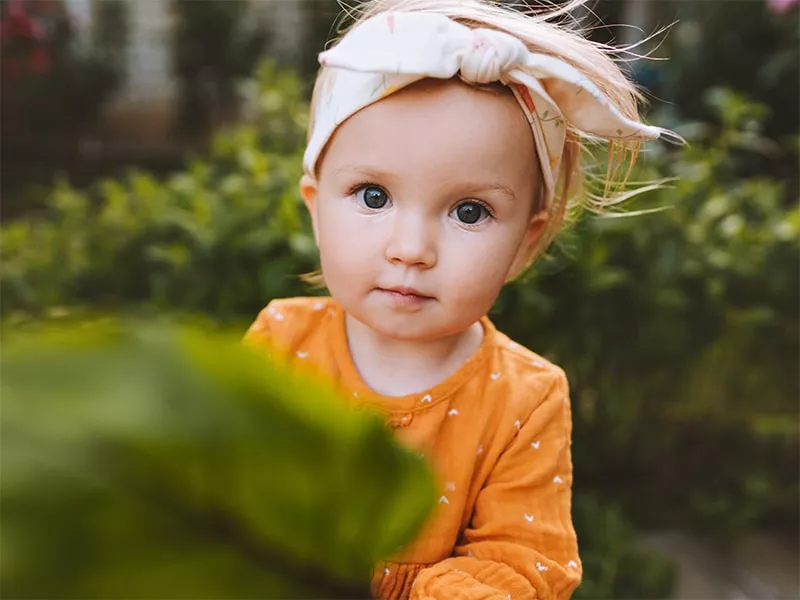 Significado de Dionisia