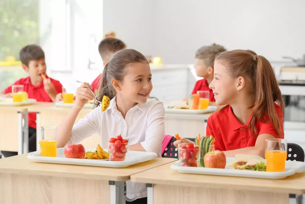 Comida Saludable Para La Cafetería De La Escuela Mala Alimentación